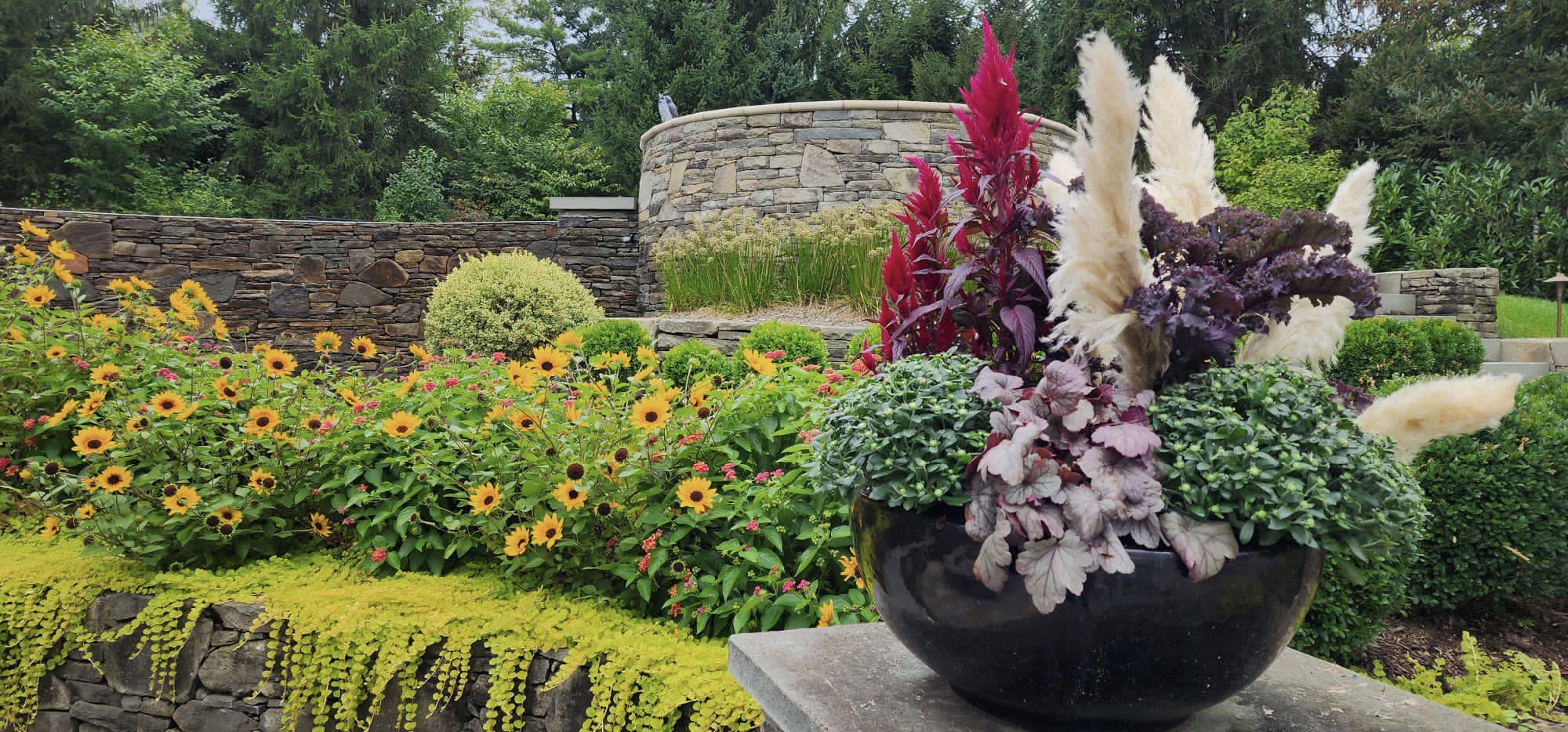 Heavy Meadow Plantworks | New Jersey Plant Service